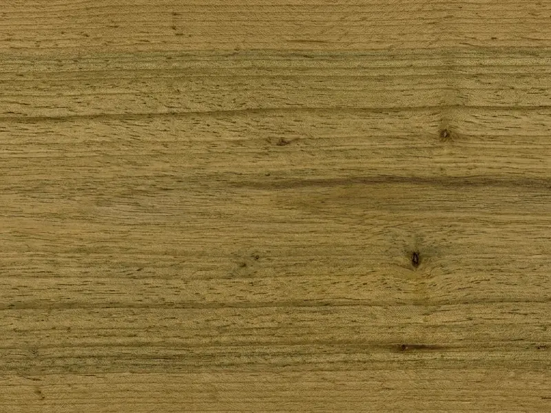 Black Locust Wood Guide | Janka Hardness, Uses & Workability