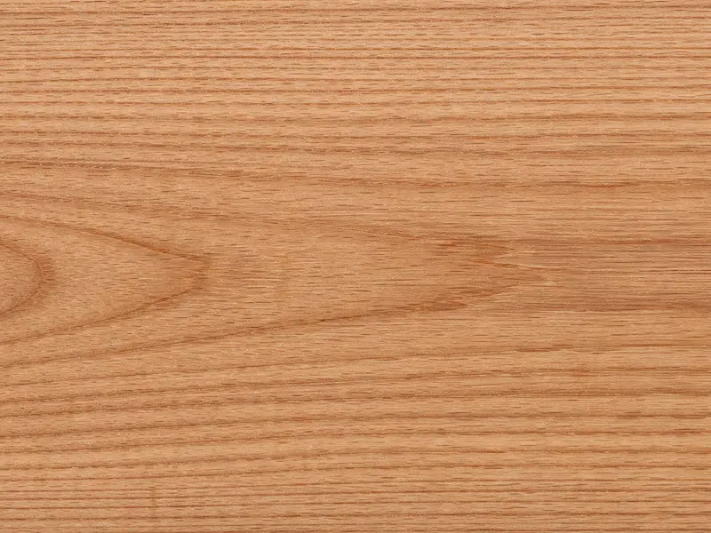 Red Elm Wood Guide | Janka Hardness, Uses & Workability