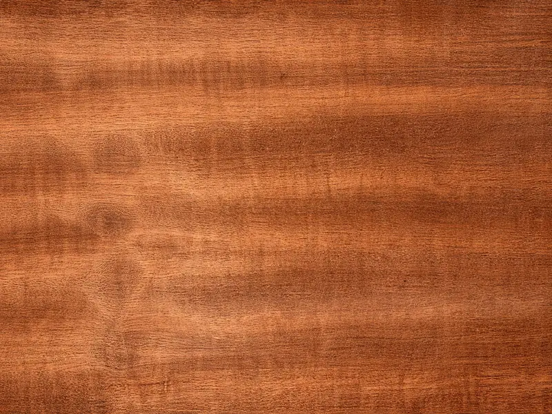 Sapele Wood Guide | Janka Hardness, Uses & Workability